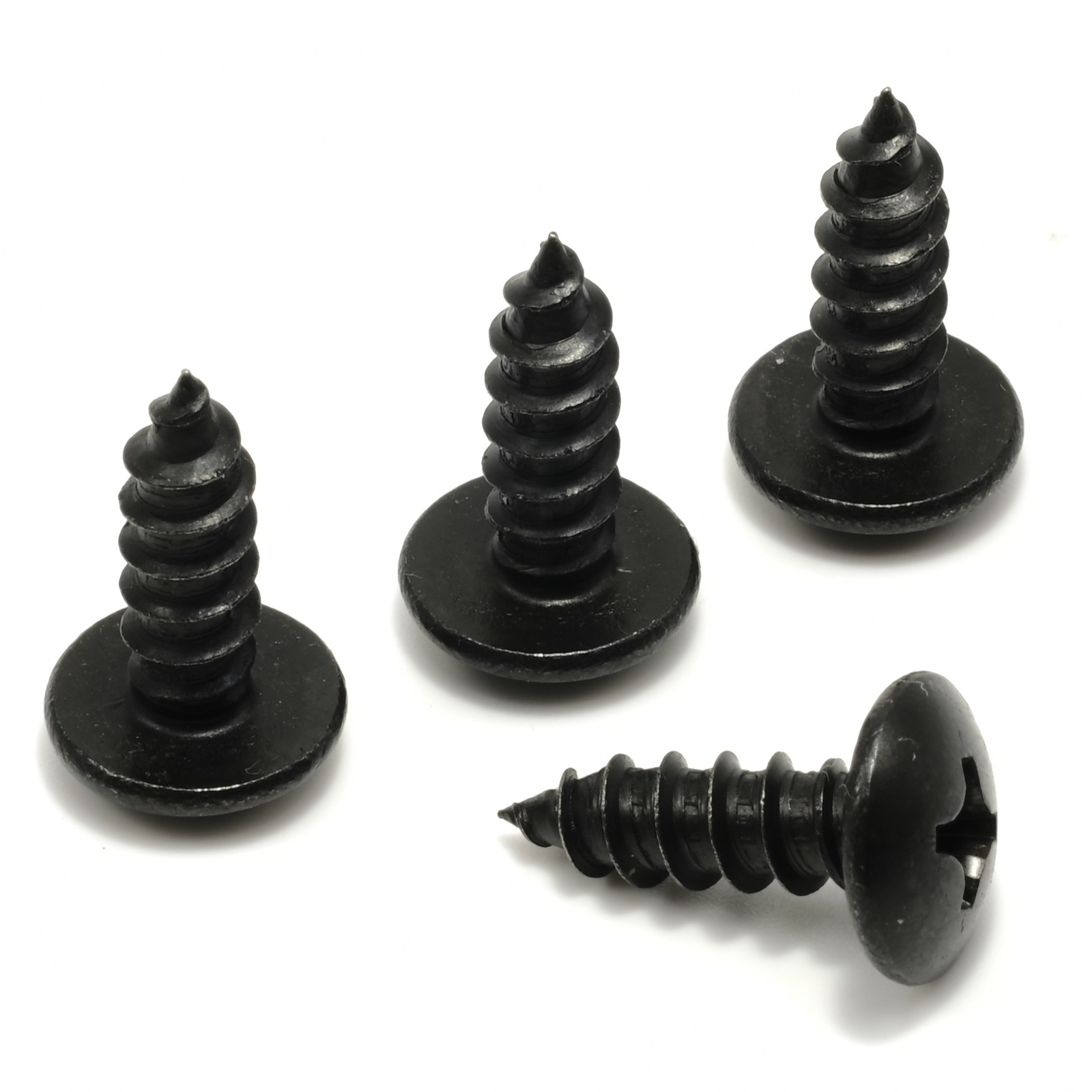 License Plate Screws for Ford Ranger - Stainless Steel - Black Oxide ...